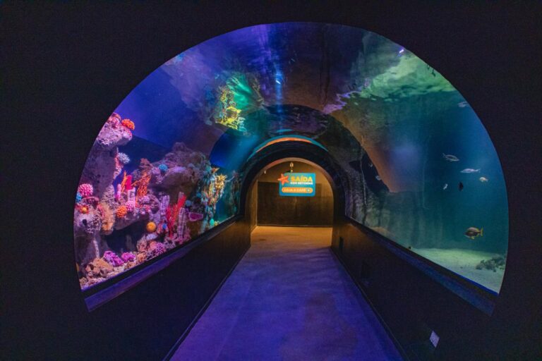 Onde Fica Balneário Camboriú? A Cidade Mais Badalada Do Sul